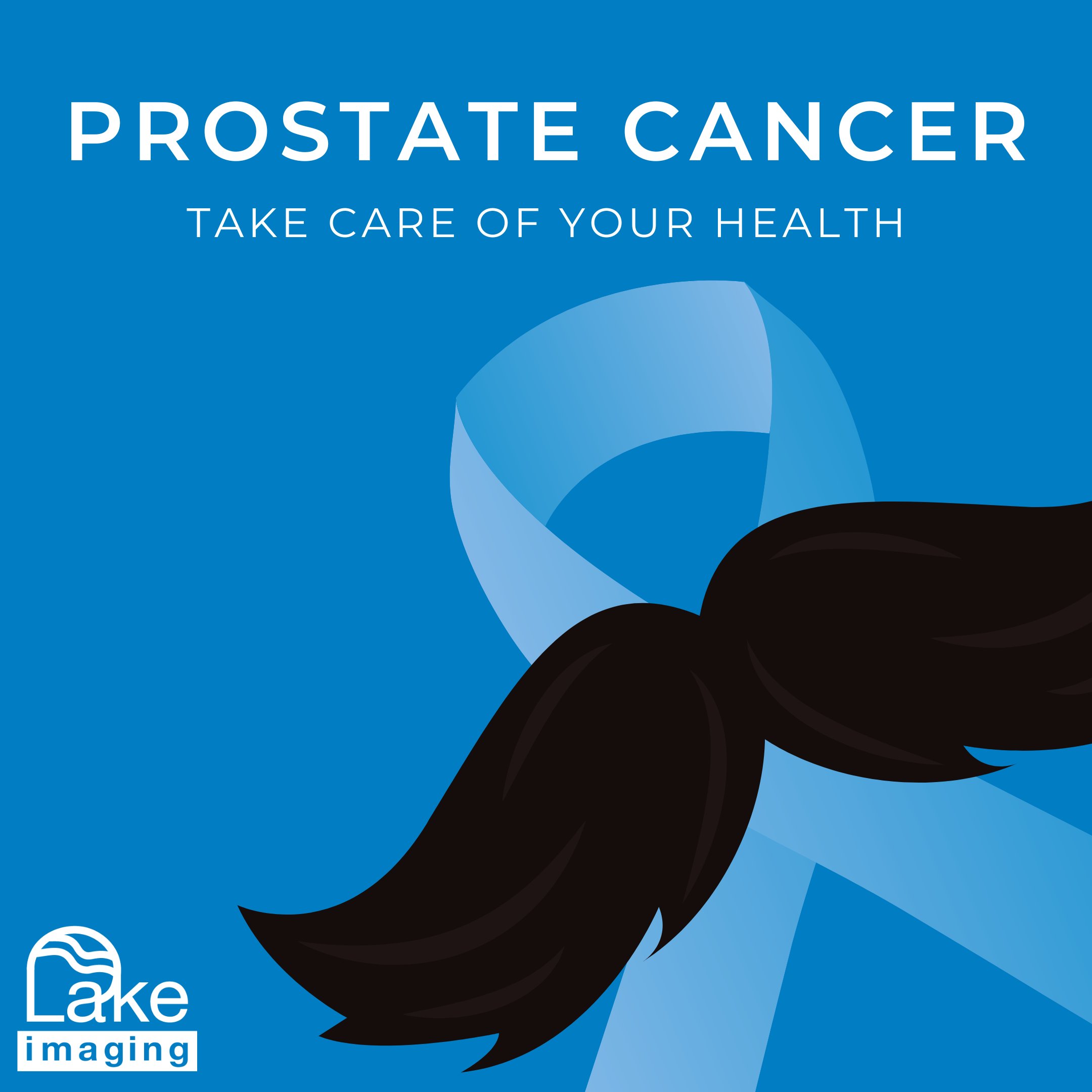 Prostate Medical Imaging Experts